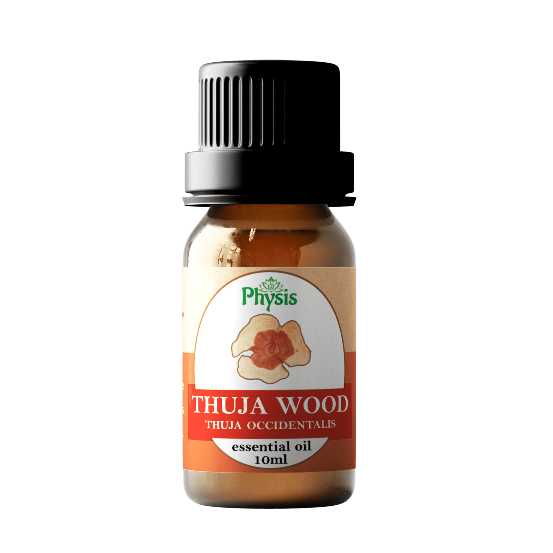 Thuja Wood Essential Oil – Macrobiotic World
